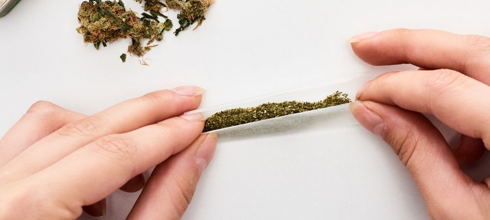 What is a Spliff? Differences with Joints and blunts - GrowBarato Blog