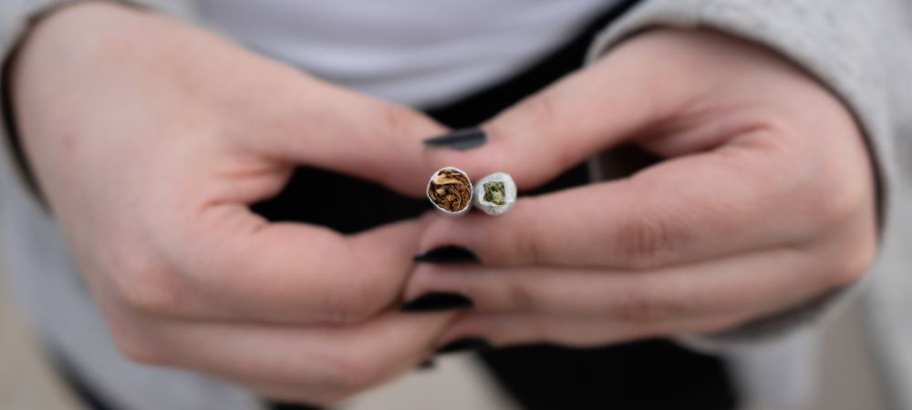 What is a Spliff? Differences with Joints and blunts - GrowBarato Blog