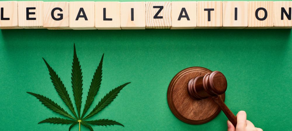 Germany legalizes cannabis for recreational use - GrowBarato Blog