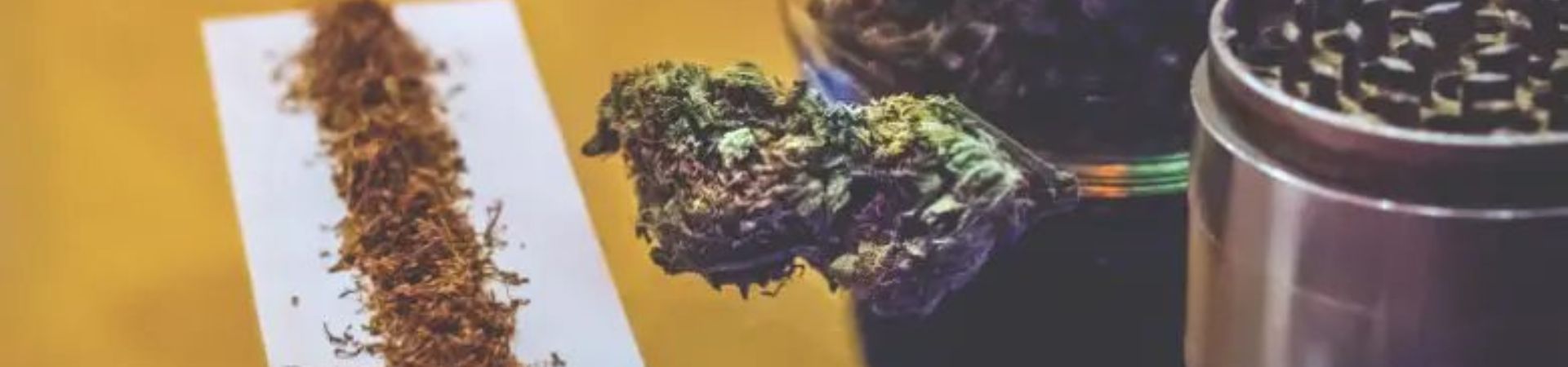 What is a Spliff? Differences with Joints and blunts - GrowBarato Blog
