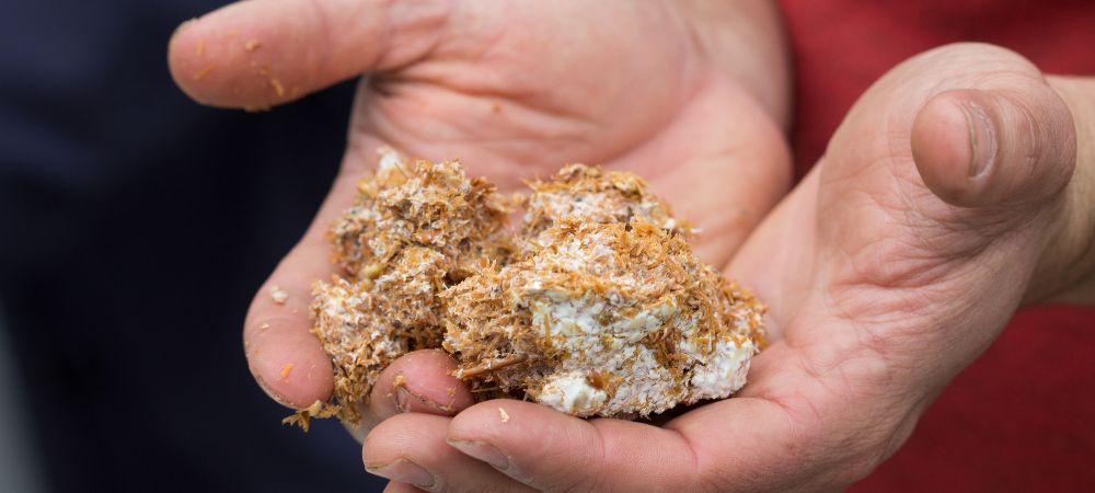 How to use the different types of mushroom substrates