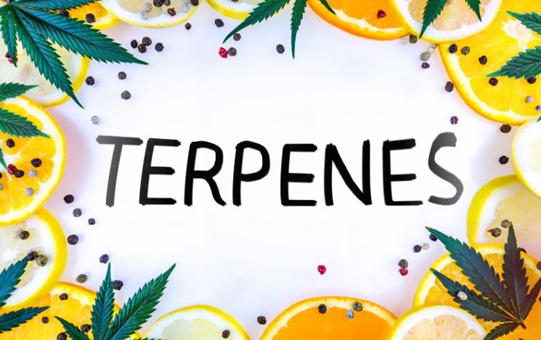 Terpene-rich foods: explore their benefits and unique properties