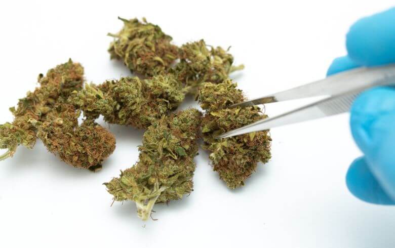 Spice and K2: the dangers of synthetic cannabinoids